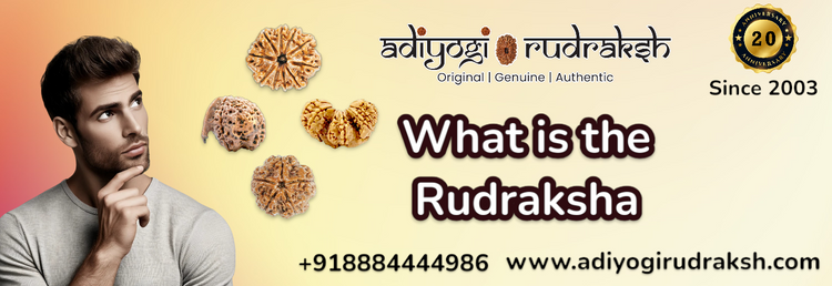 What is the Rudraksha? – Adiyogi Rudraksh & Adiyogi Gemstones